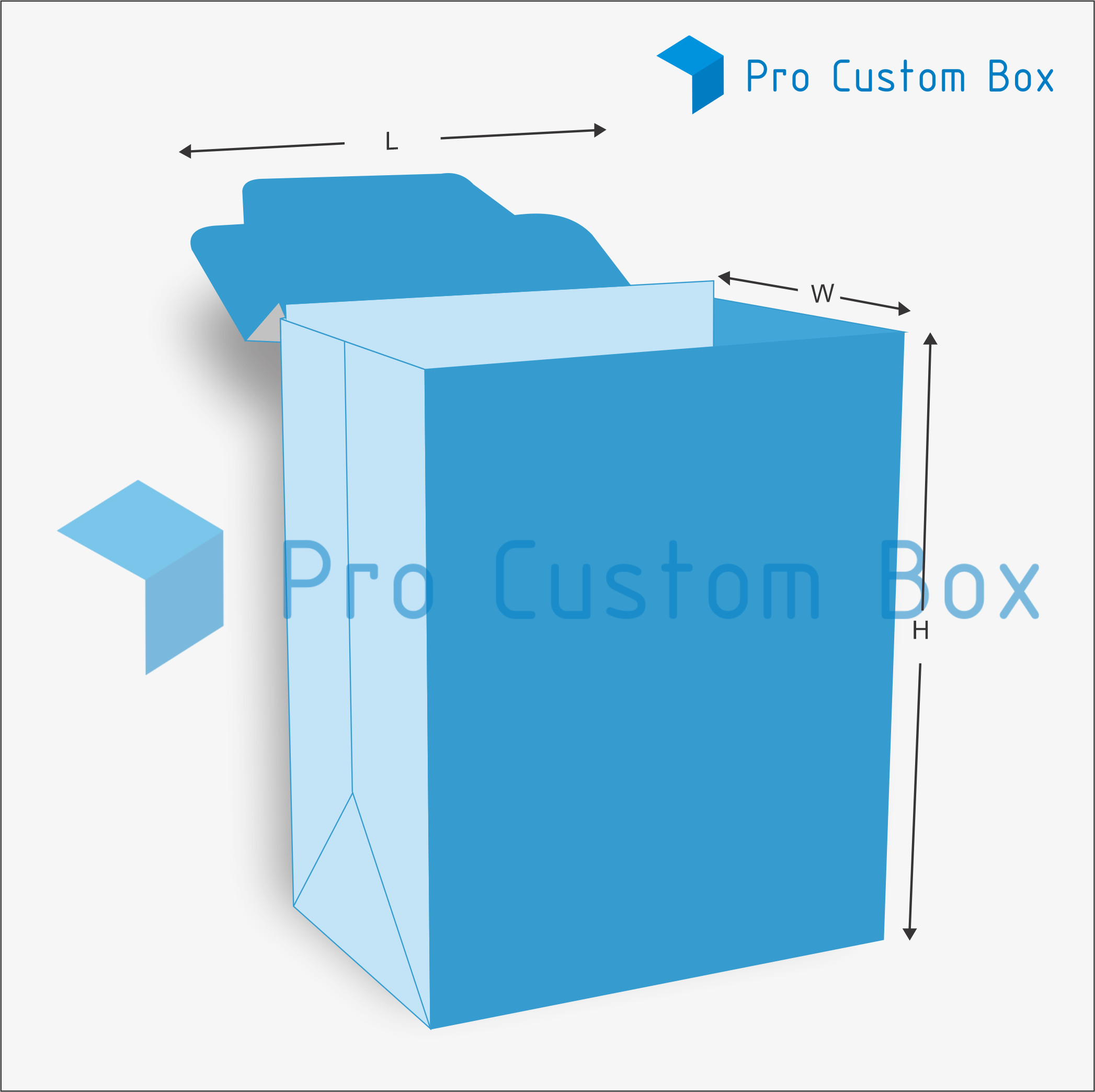 Custom Bag Shaped Box Auto Bottom - Pro Custom Box